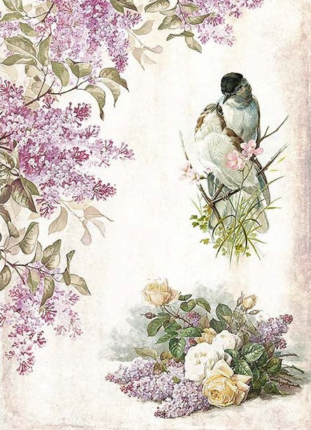 Bird A4 Rice Paper for Decoupage Crafts & Furniture – Page 2 ...