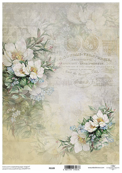 A4 Translucent Scrapbooking Paper. Decoupage Parchment Vellum Tracing ...