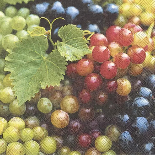 Shop colorful Grapes Decoupage Paper Napkin for Crafting, Scrapbooking ...
