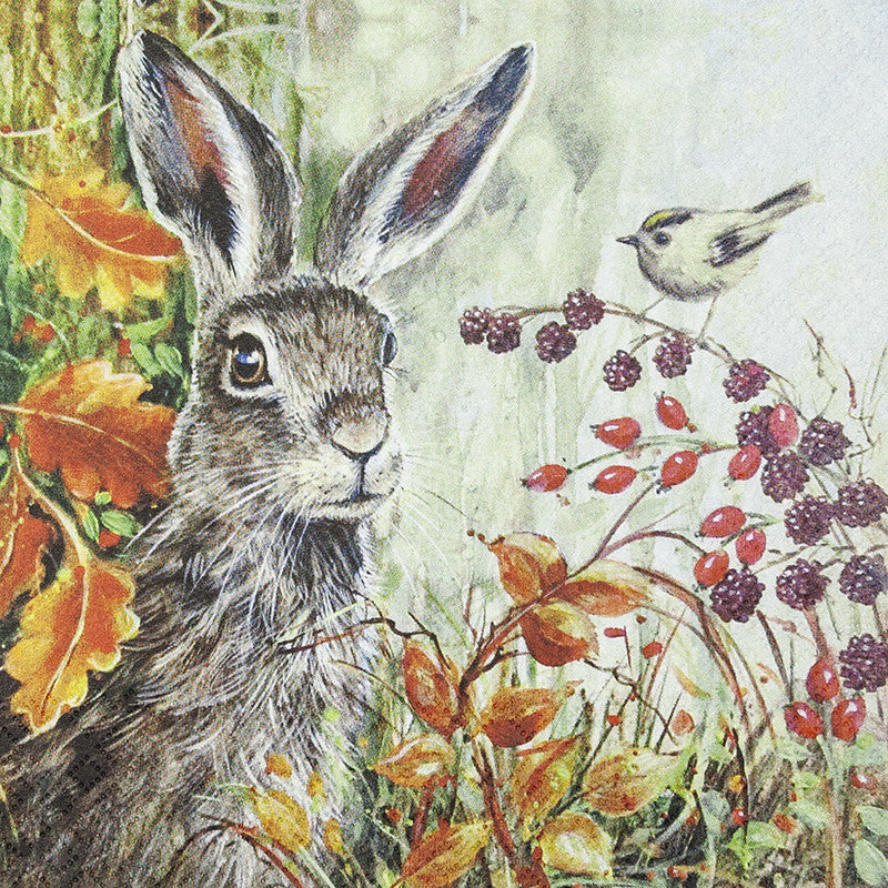 Rabbit in Autumn #2850 – Decoupage Napkins.Com